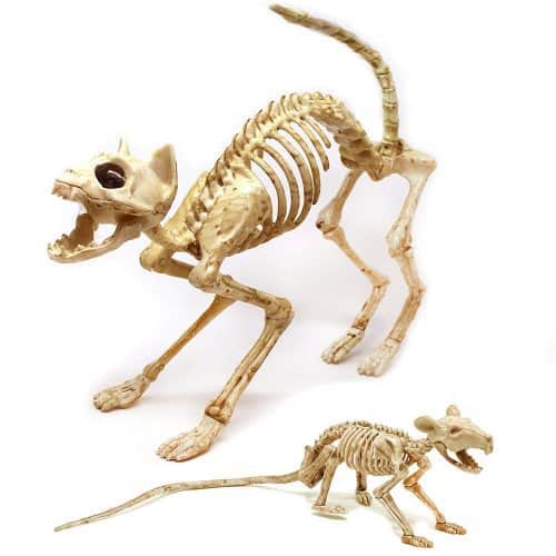 Halloween Yard Art for Cat Lovers - The Catington Post