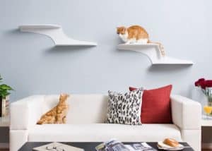 3 Modern & Stylish Ways to Catify your Home - The Catington Post