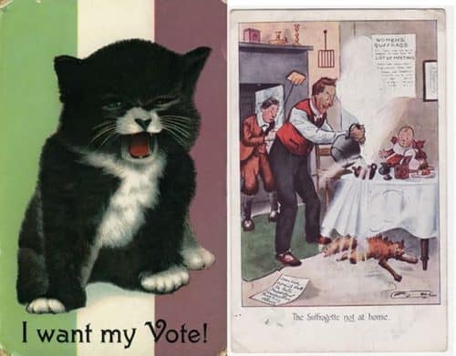 What Did Cats Have to Do with Women's Suffrage? - The Catington Post