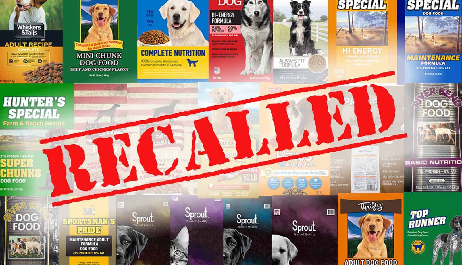 Pet Pride Cat Food Recall 2020 Trudy Kruger Pet Pride Cat Food Recall 2020 Trudy Kruger