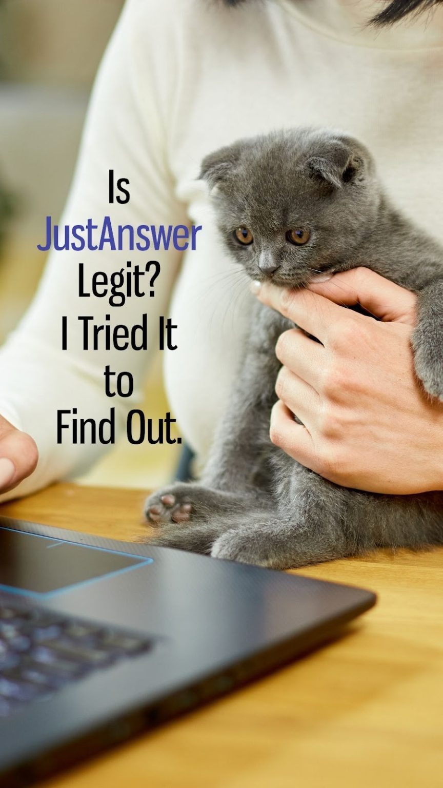 Is JustAnswer Legit? I Tried It to Find Out - The Catington Post