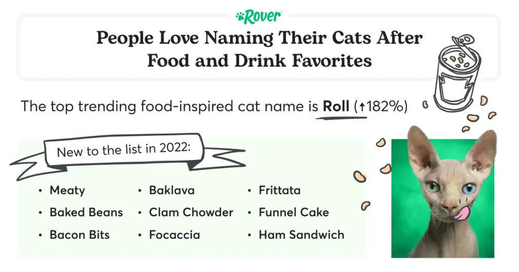Cute Food Names Cat At Peggy Bradley Blog